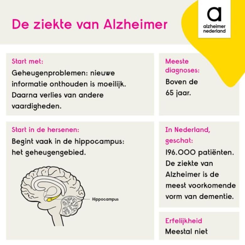 Wat is de ziekte van Alzheimer? | Dementie